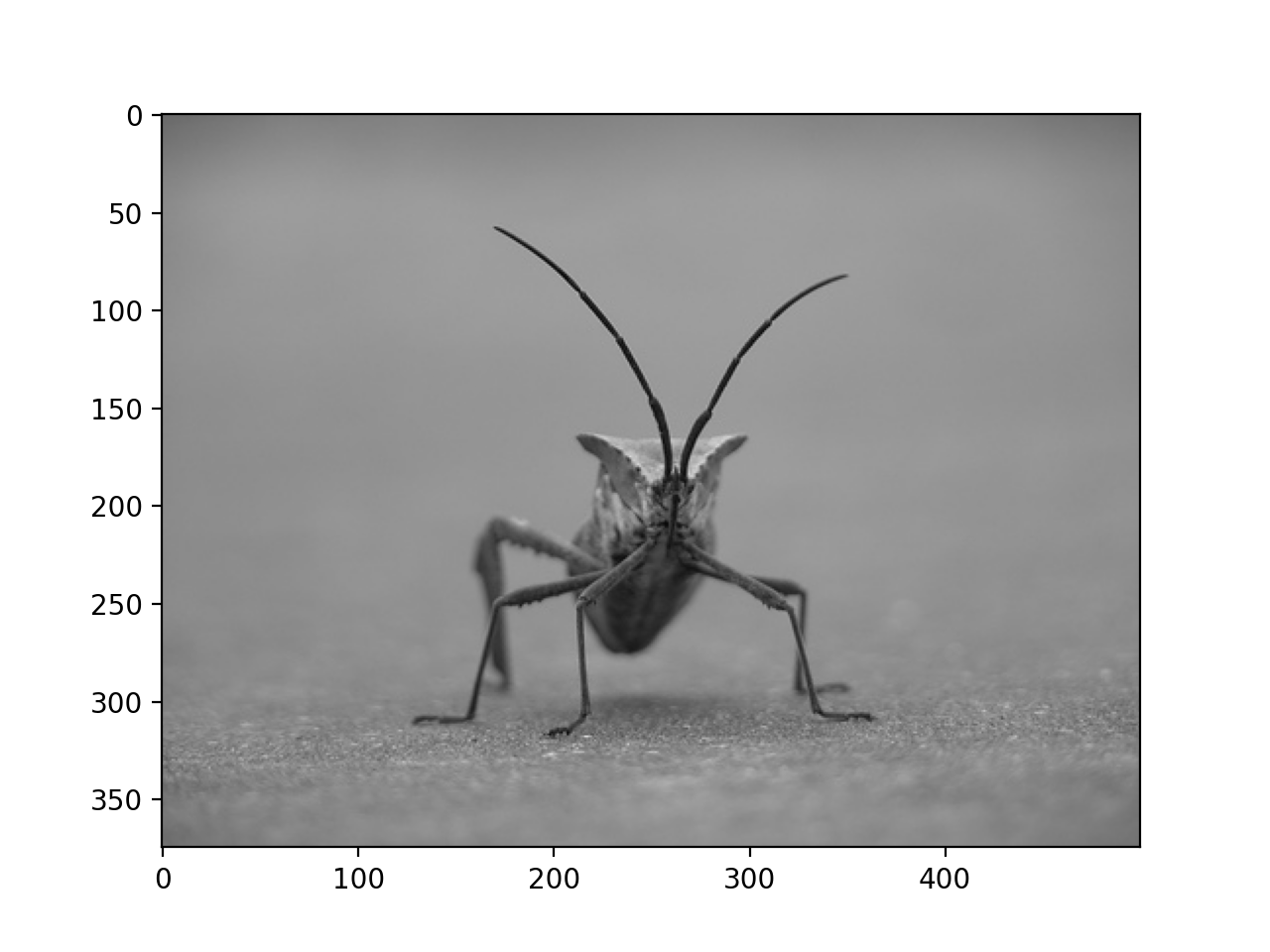 Bild-Tutorial_Matplotlib-Visualisierung mit Python